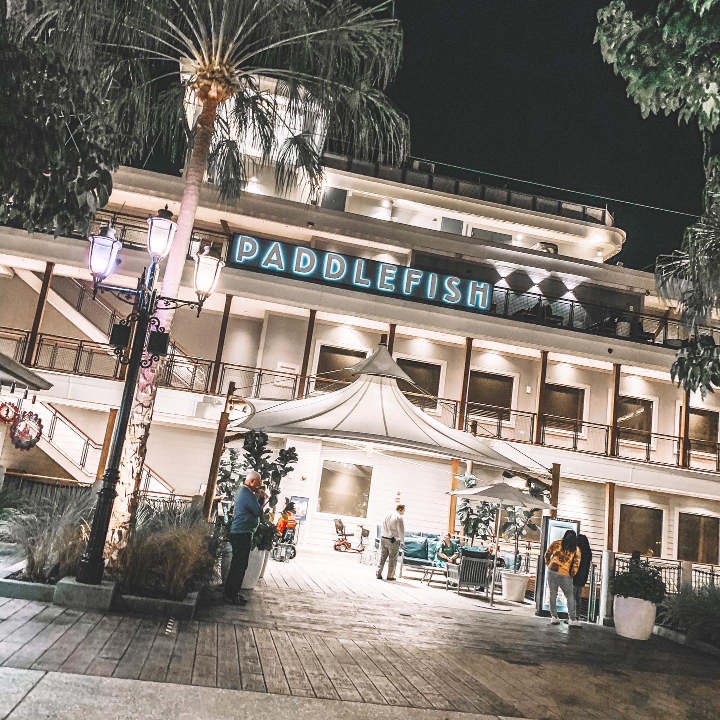 Paddlefish Orlando: The Perfect Combo Of Delicious Food And Ambiance